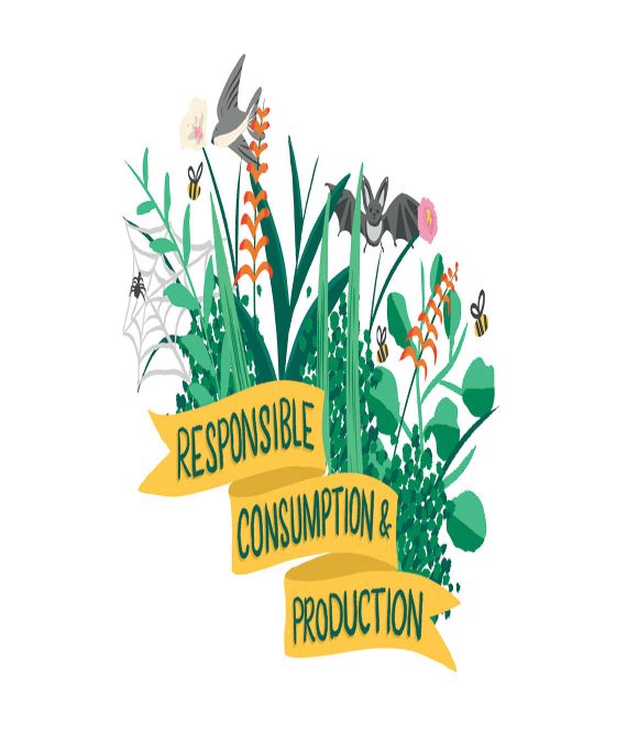 Sustainability Responsible Consumption and Production | An Post
